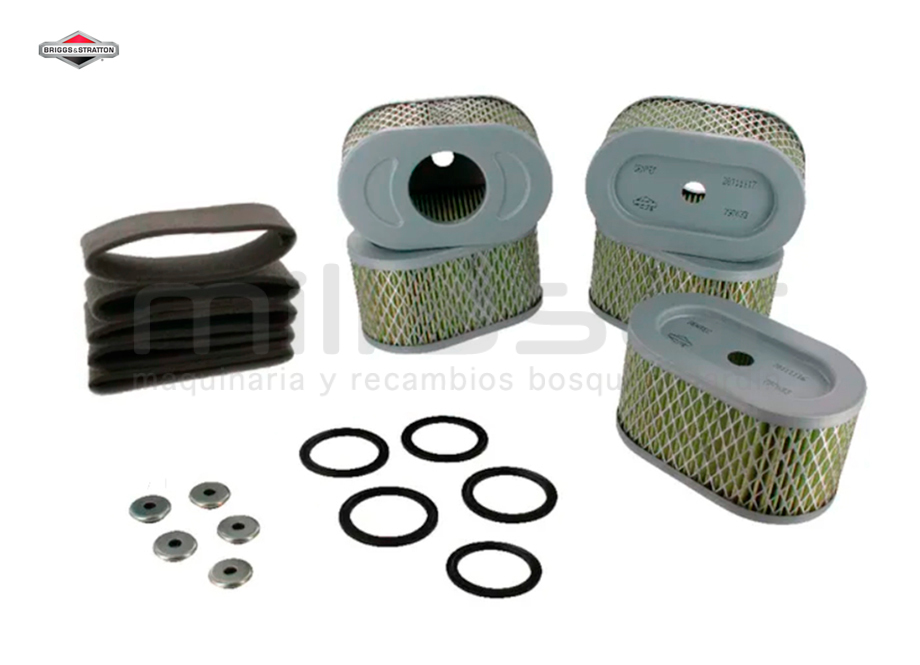 PACK 5 X 797033 AIR FILTER | Millasur | Maquinaria y recambios para ...